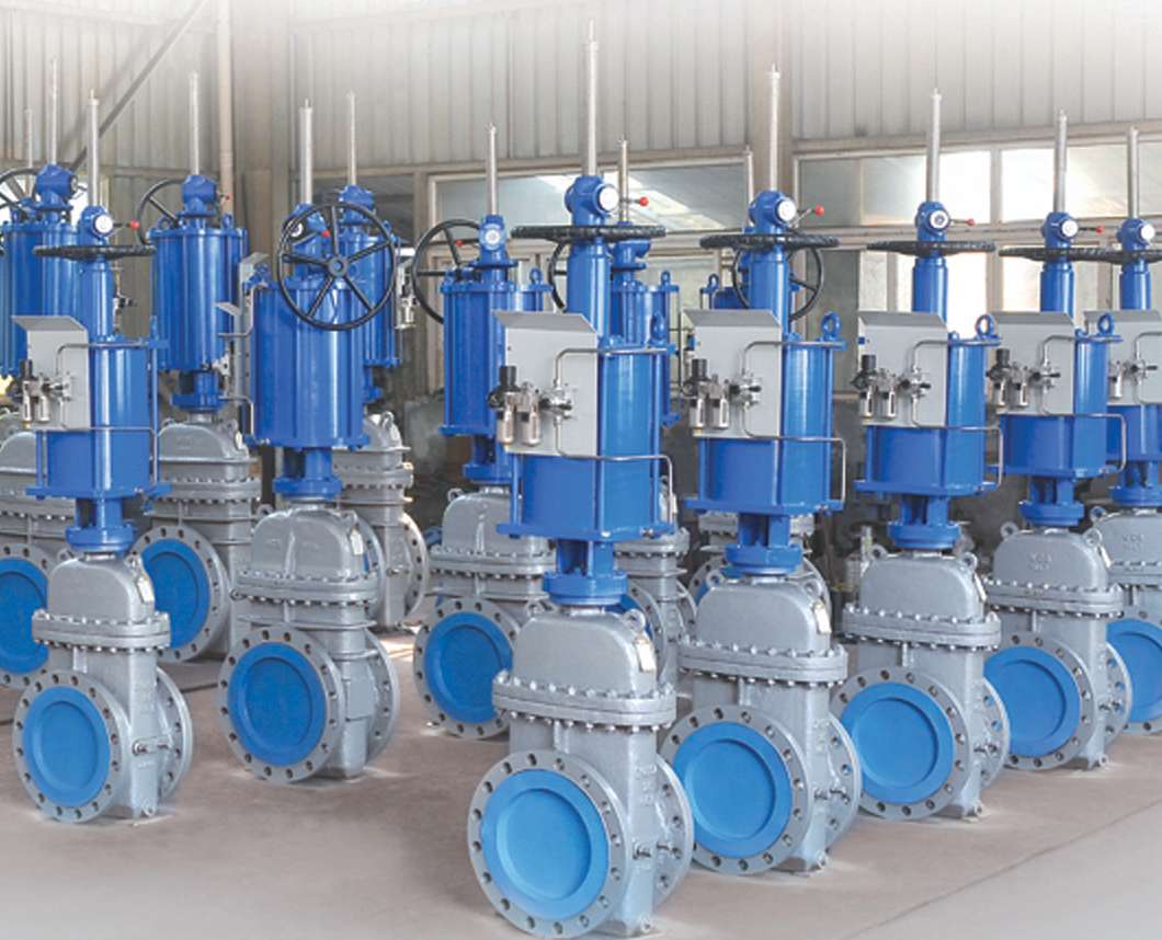 Through conduit gate valve - T-WINS VALVE